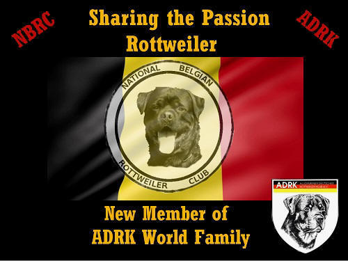 Adrk Logo Nieuw In IOS 13: Eerste Blik Op Dark Mode (donkere Modus)